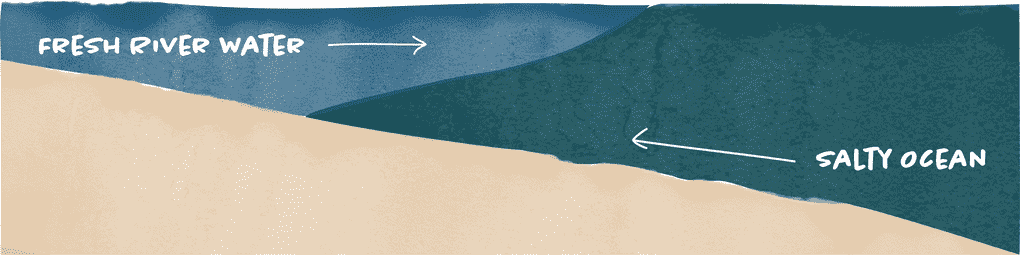 Water Science and Management in the Delaware River Basin